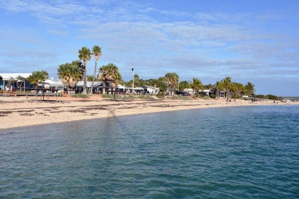 The Best Perth To Monkey Mia Road Trip Itinerary For 2024