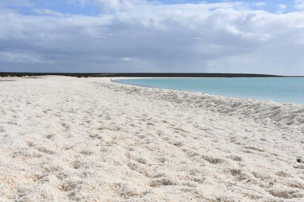 Port Denison & Dongara | 10 Best Things To Do In 2023