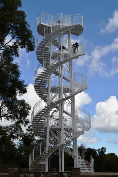 What To Do In Kings Park Perth: Locals Informative Guide 2026