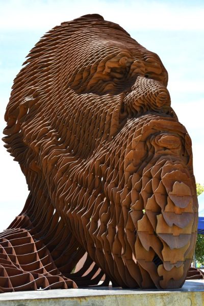 The Best Things To Do In Bunbury