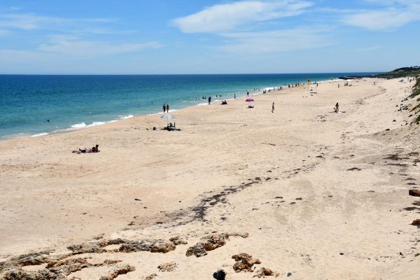 The Best Things To Do In Bunbury: Locals Guide 2023