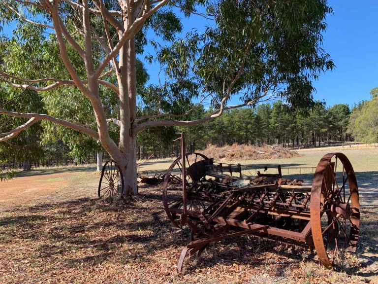 Top 11 Things To Do In Ferguson Valley