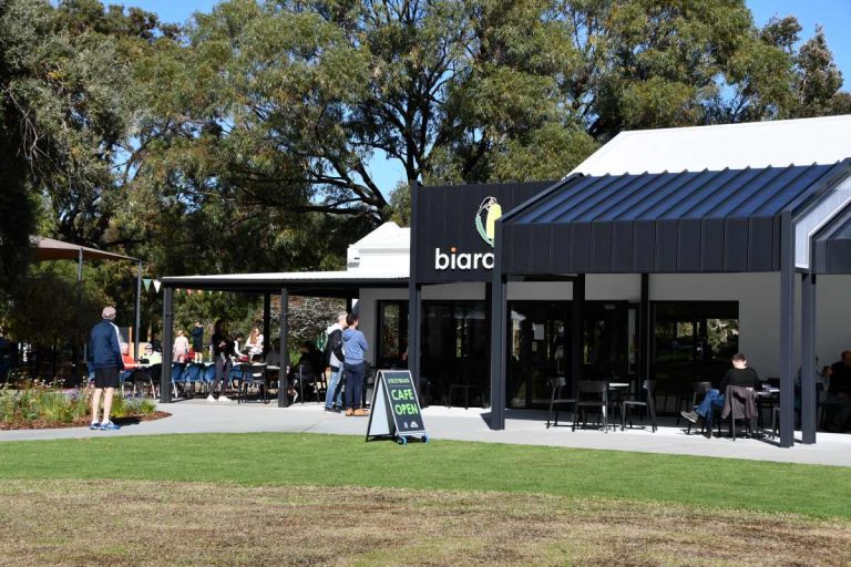 What To Do In Kings Park Perth: Locals Informative Guide 2026