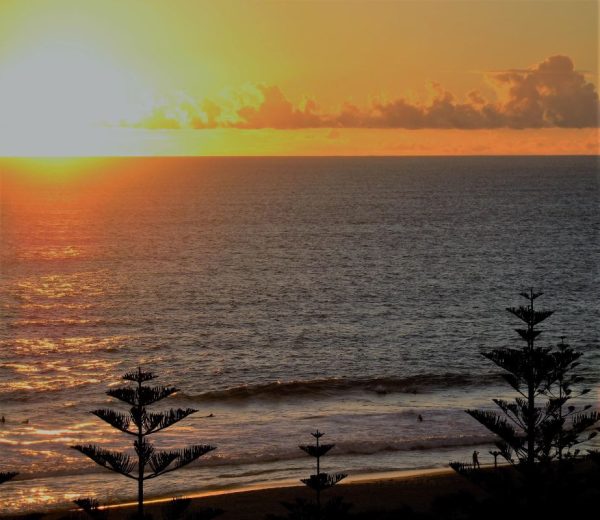 Scarborough Beach: Locals Guide