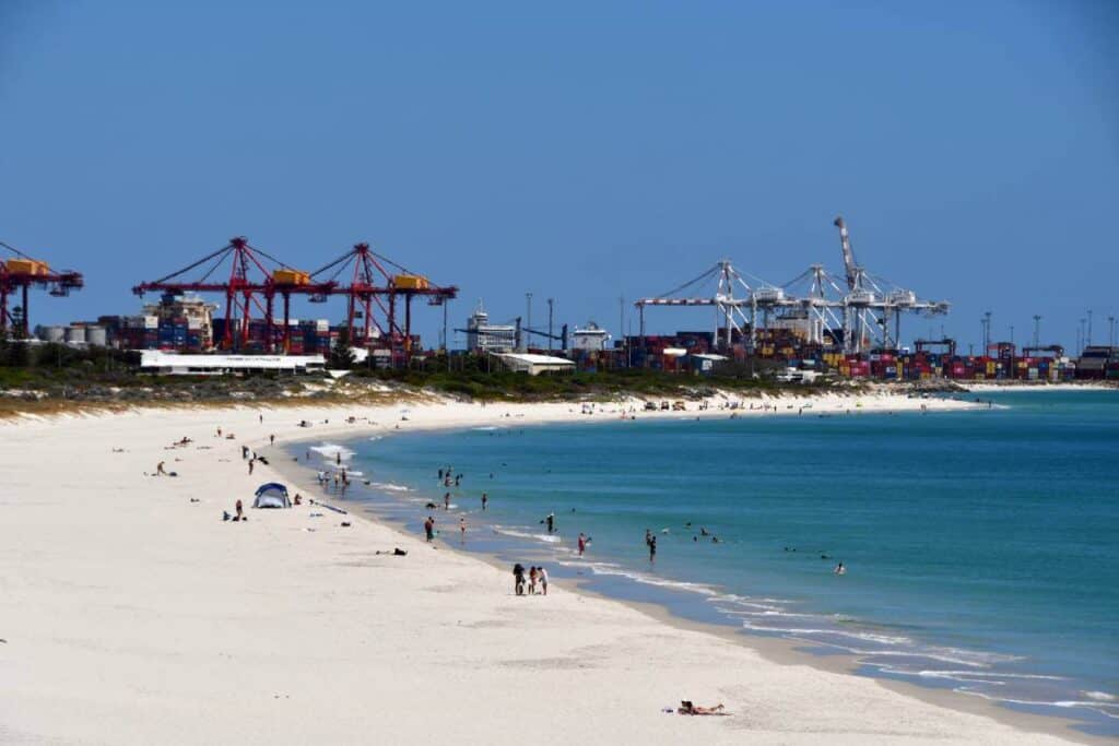 Things To Do At Port Beach: Local's Ultimate Guide 2024