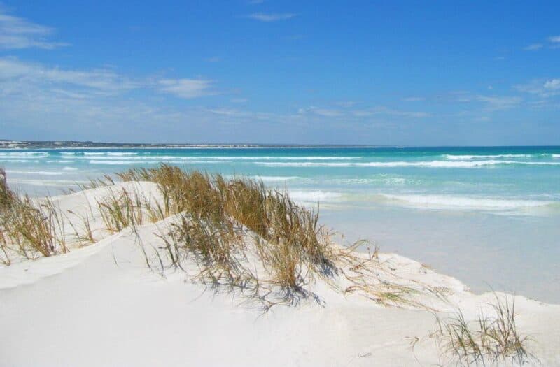 Things To Do In Dongara & Port Denison: Locals Ultimate Guide